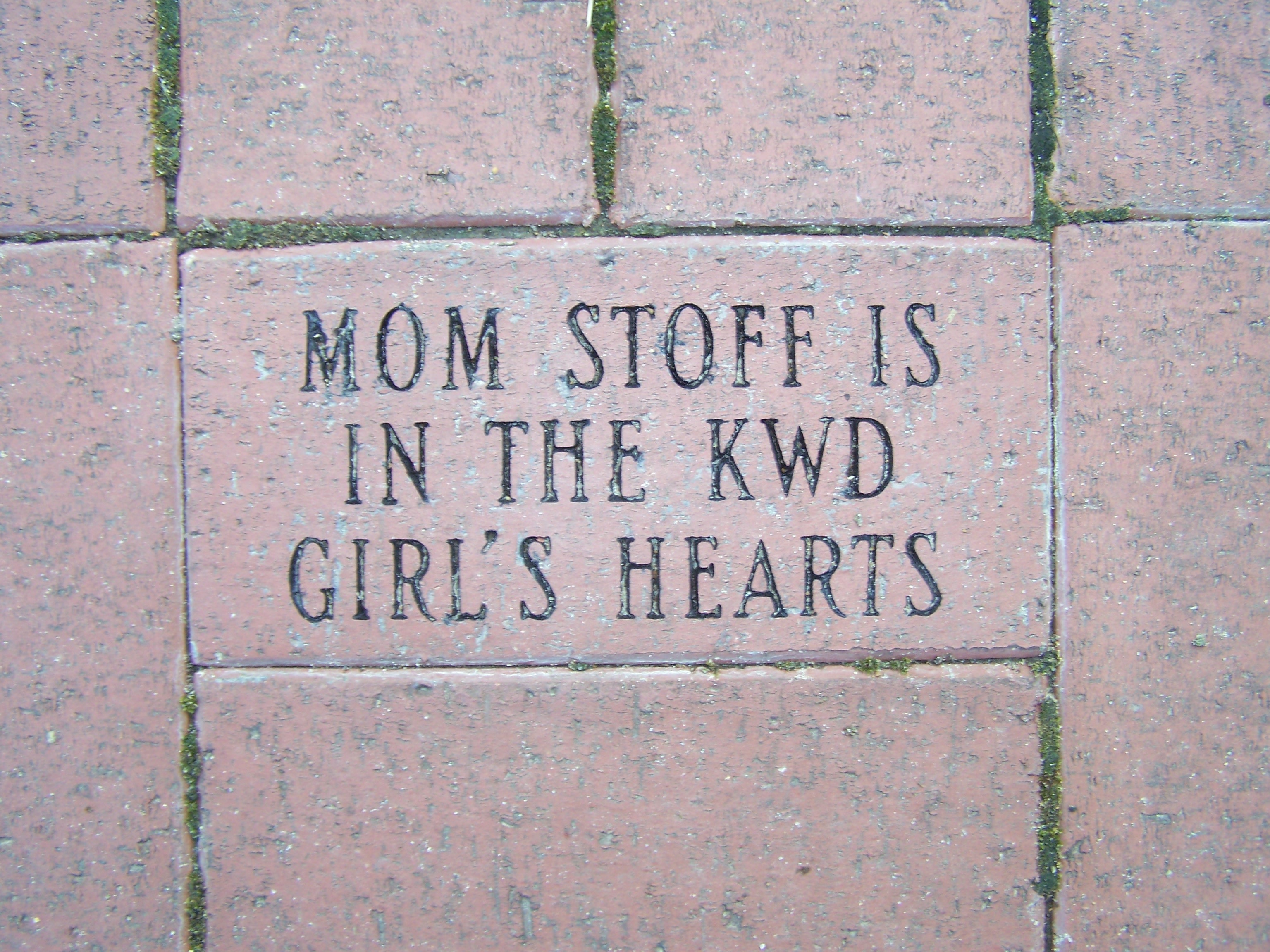 Greentree Legacy Program Bench Donation - WebTrac Activity Single Icon